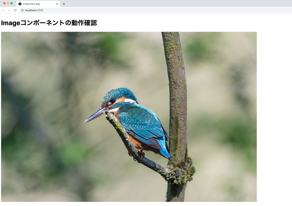 これでわかるnextjsの画像最適化imageコンポーネント アールエフェクト 8548