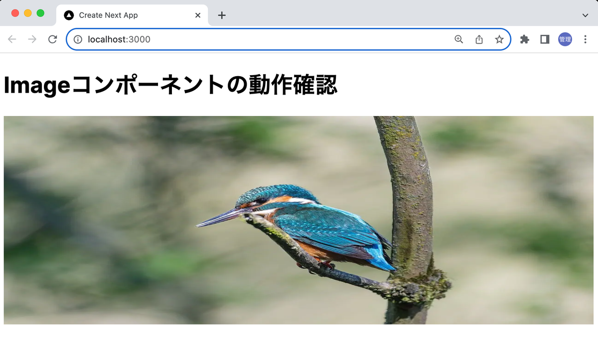これでわかるNext.jsの画像最適化Imageコンポーネント | アールエフェクト